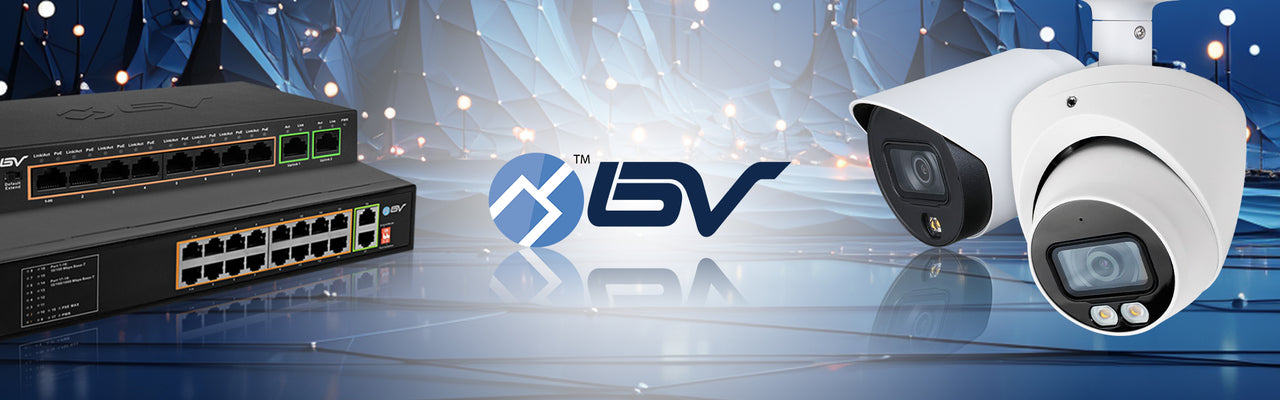 BV Security