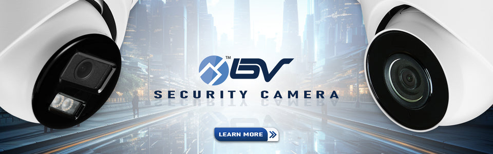 BV Security